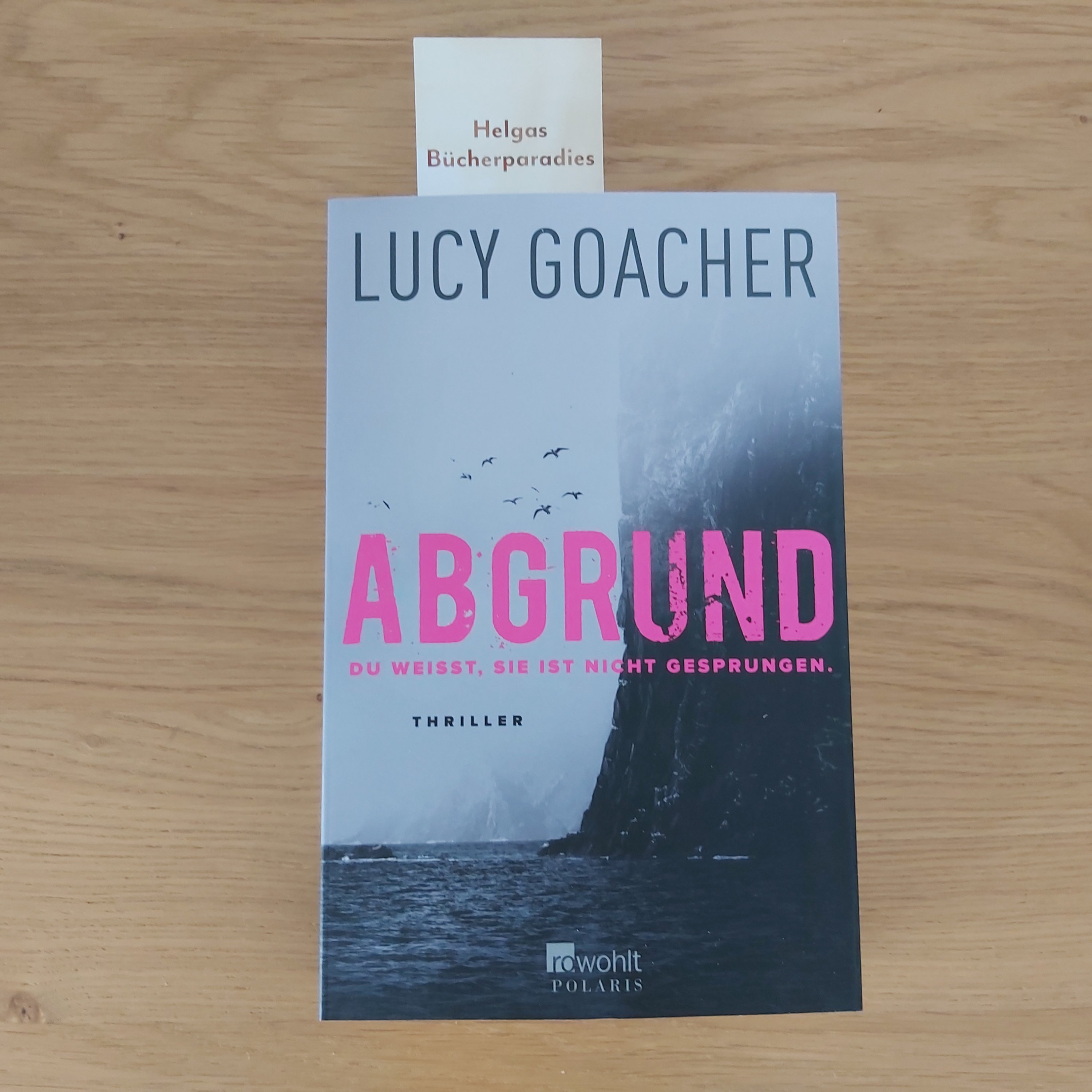 Goacher Lucy 📖 Abgrund Du weißt, sie ist nicht gesprungen – Helgas ...