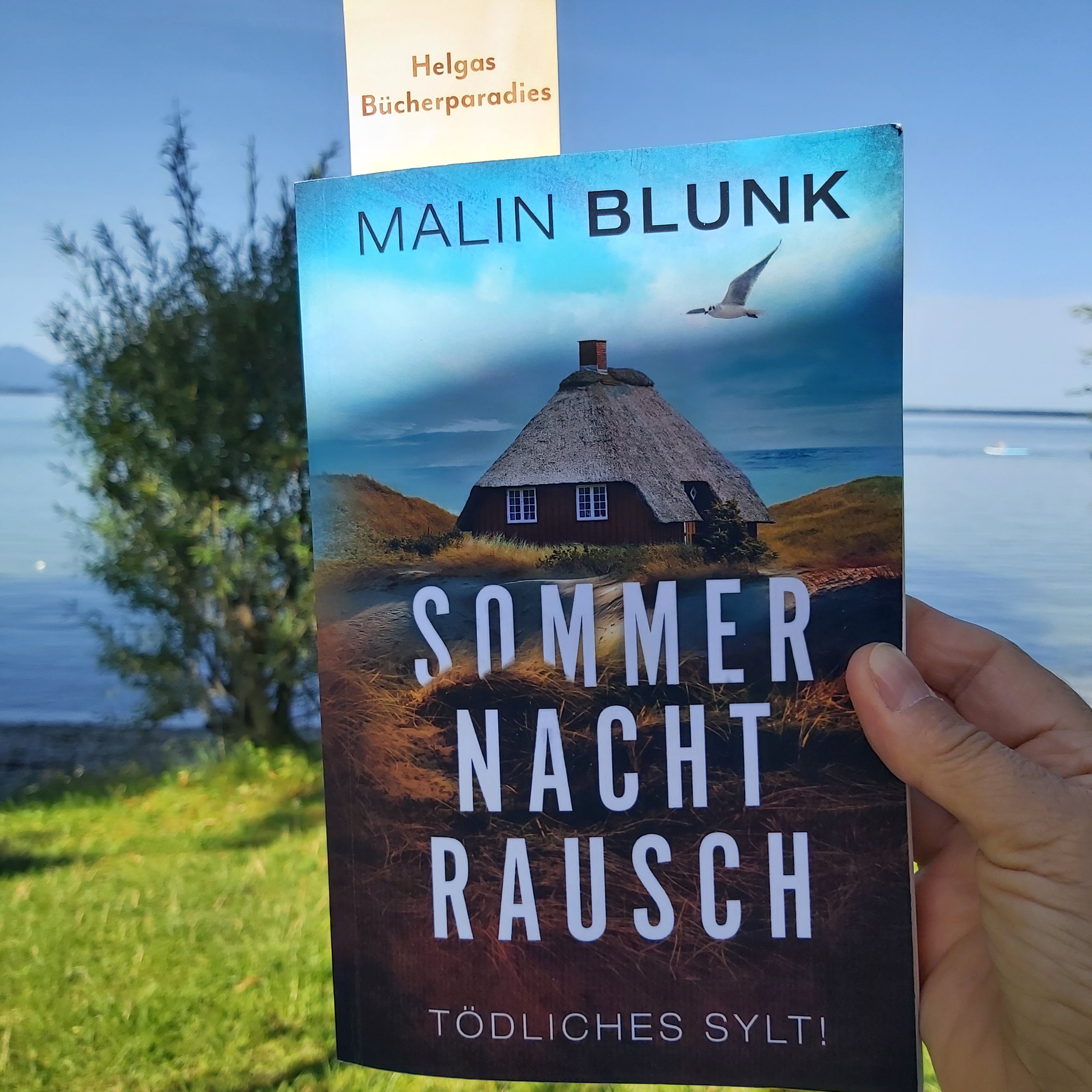 Blunk Malin 📖 Sommer Nacht Rausch – Helgas Bücherparadies